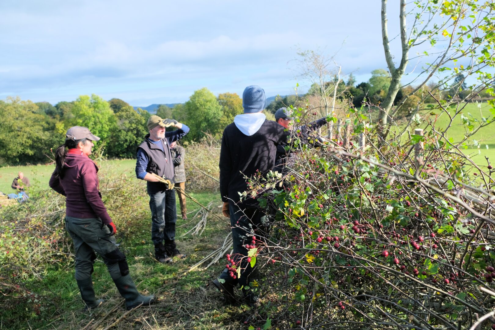 Hedgerows Heroes - CPRE Herefordshire