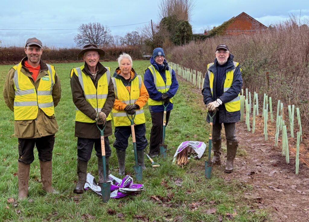 Hedgerows Heroes – CPRE Herefordshire